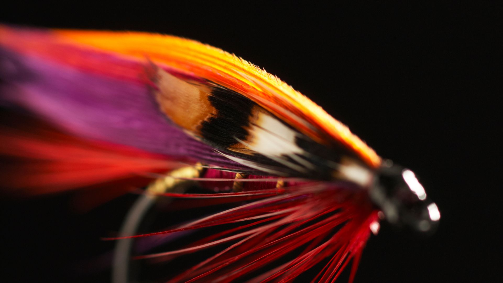 May Fishing Updates - Bucktrout Outfitters - Wyoming Fly Fishing